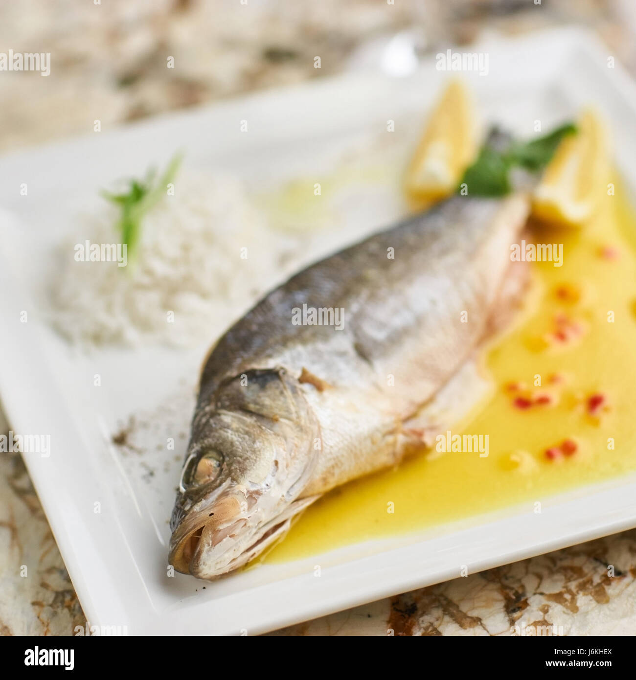 Wolffish eating hi-res stock photography and images - Alamy