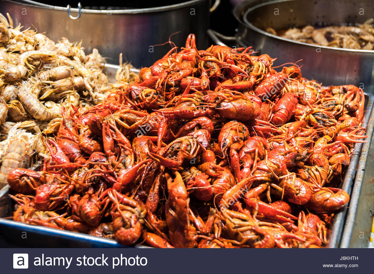 Yabby Stock Photos & Yabby Stock Images - Alamy