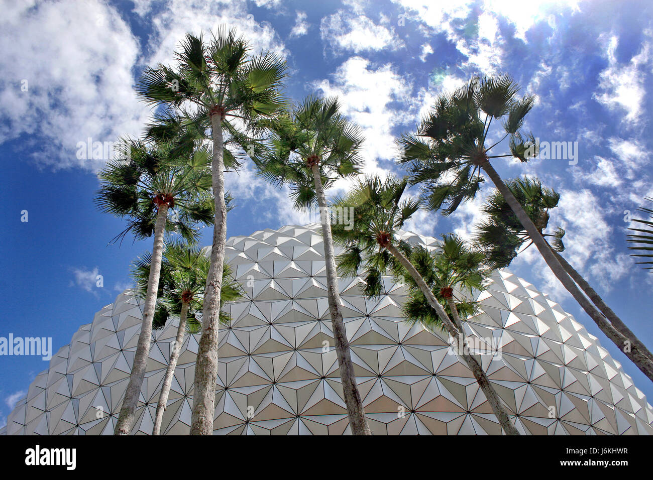 tree modern modernity style of construction architecture architectural ...