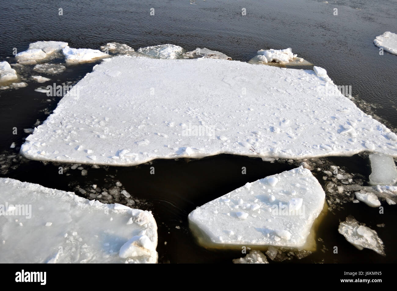 environment enviroment winter cold frozen float swimmer river water ...