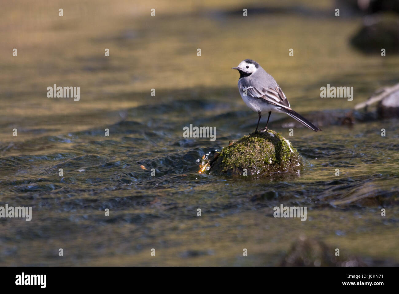 Black stone tiles hi-res stock photography and images - Alamy