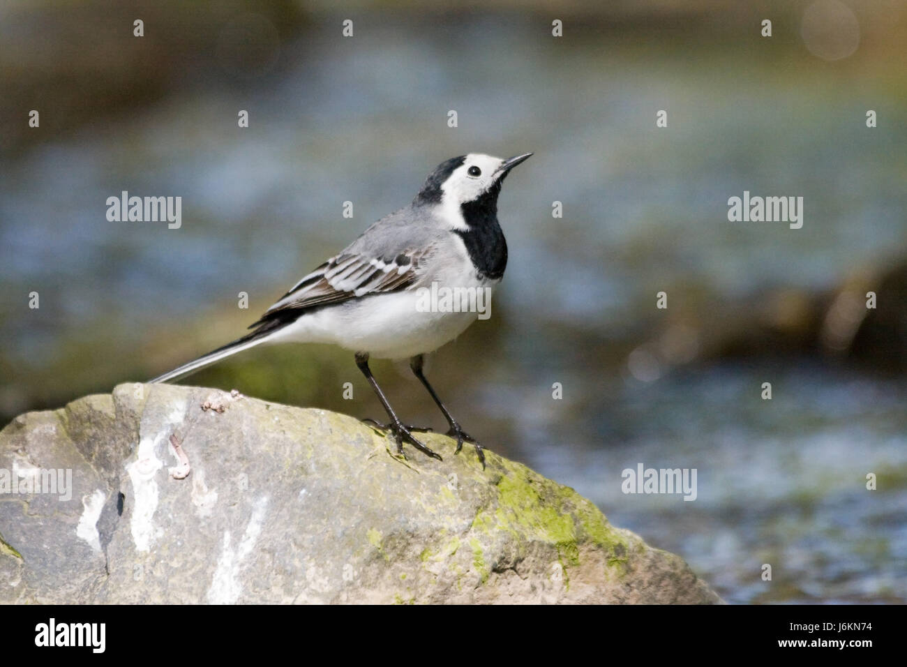 Black stone tiles hi-res stock photography and images - Alamy