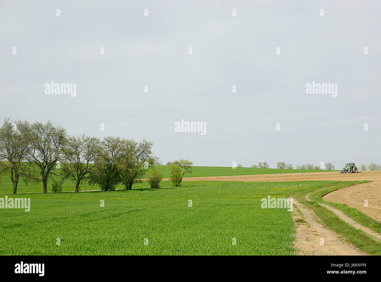 agriculture farming field spring fields dry dried up barren dusty seed ...