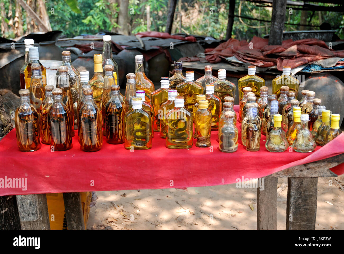 animals asiatic brandy means agent medicine drug remedy substance ...
