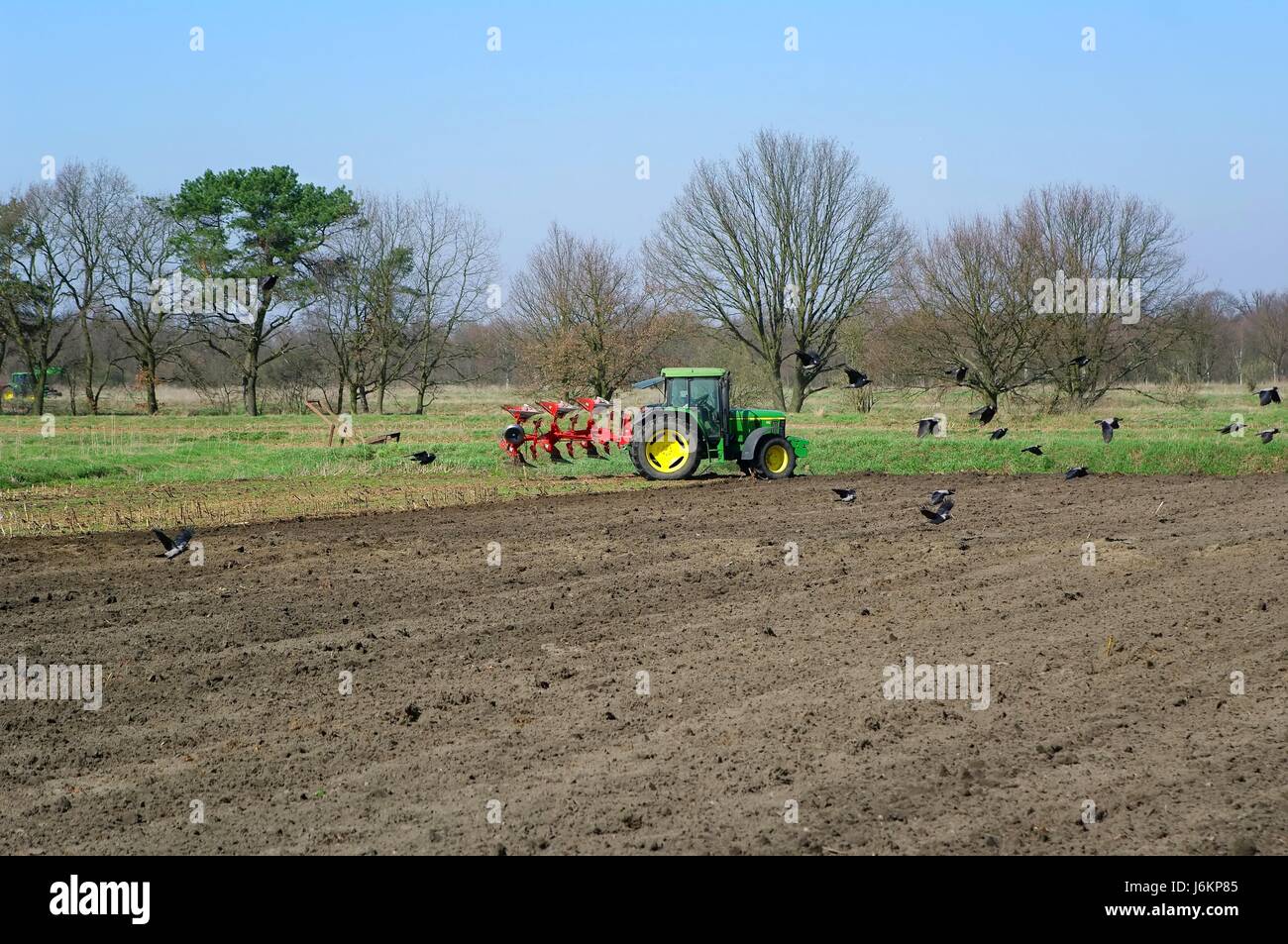 tractor plowing the field Stock Photo - Alamy