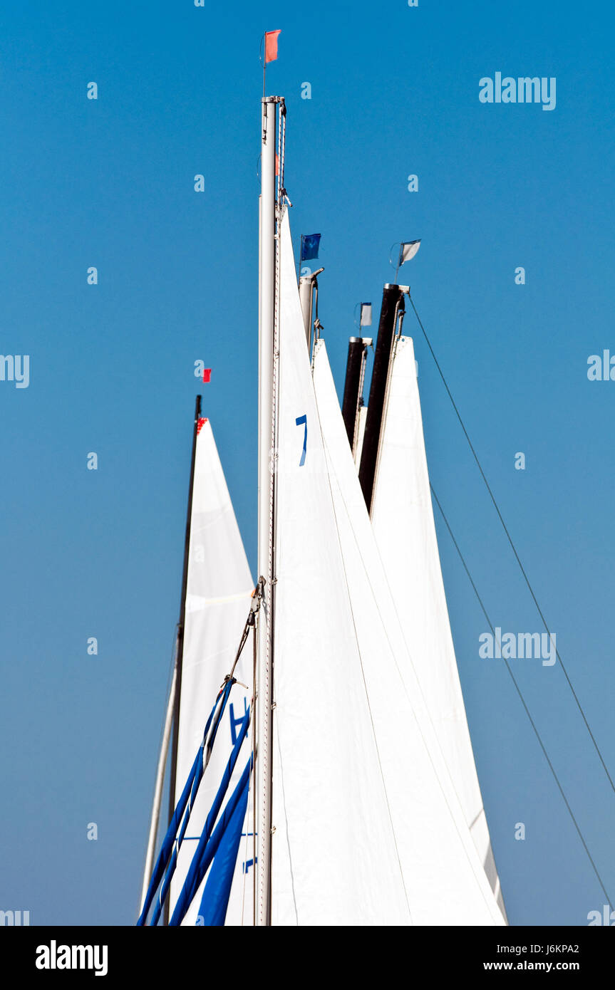 sail sailing boats blue colour sail sailing ship sailing boat sailboat ...