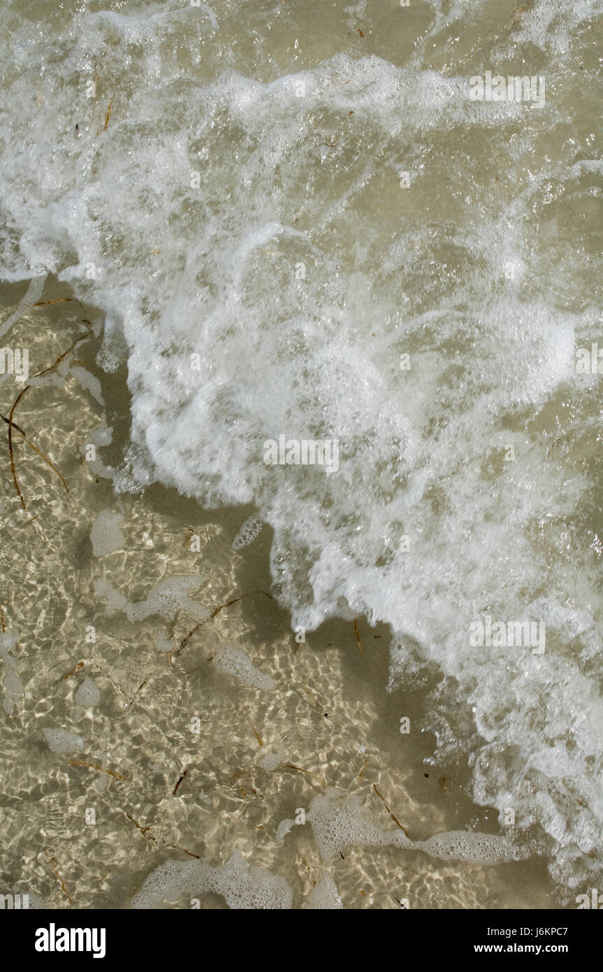 beach seaside the beach seashore wave clear salt water sea ocean water ...