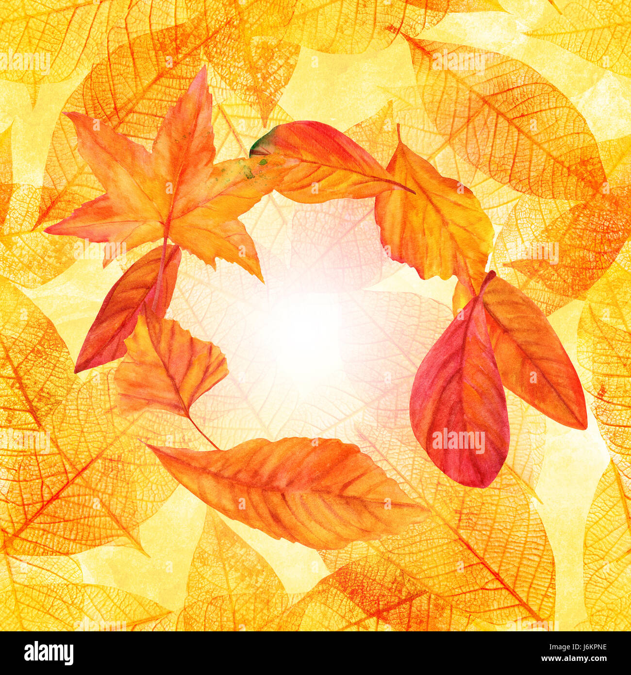 Autumn design template with vibrant fall leaves, yellow and orange. An ...