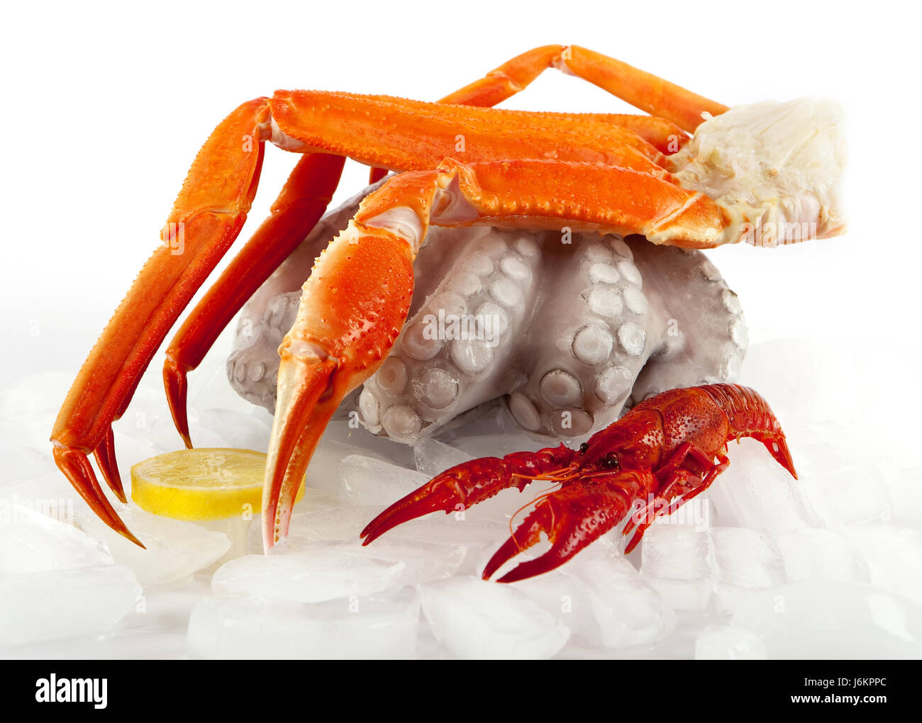 ice crab seafood squid food aliment ice gourmet cancer dish meal crab ...