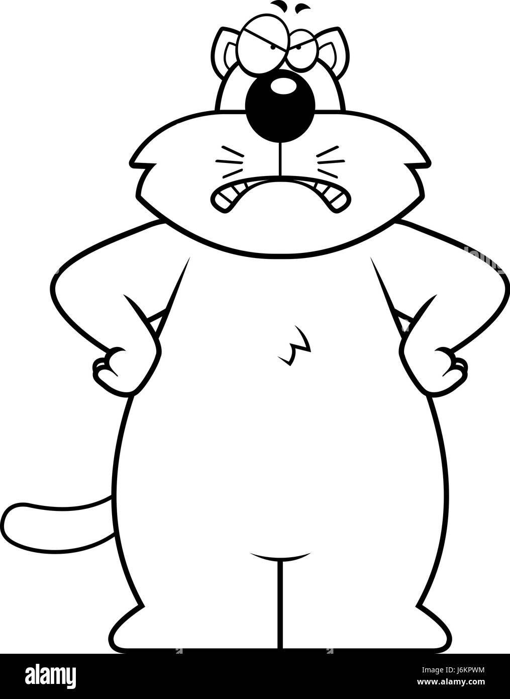 A cartoon cat with an angry expression Stock Vector Image & Art - Alamy