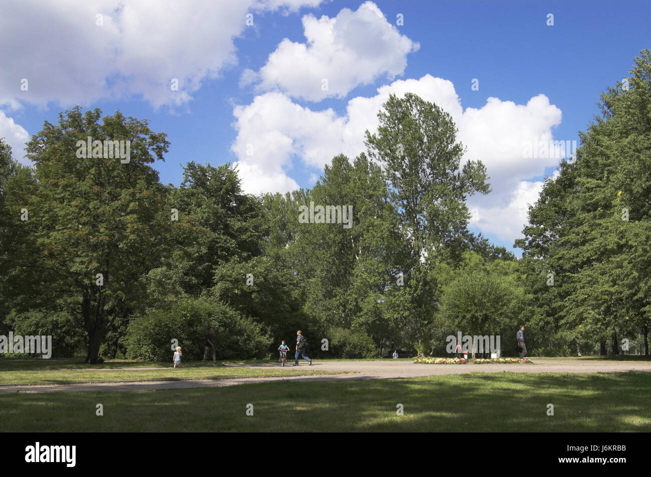 humans human beings people folk persons human human being tree trees ...