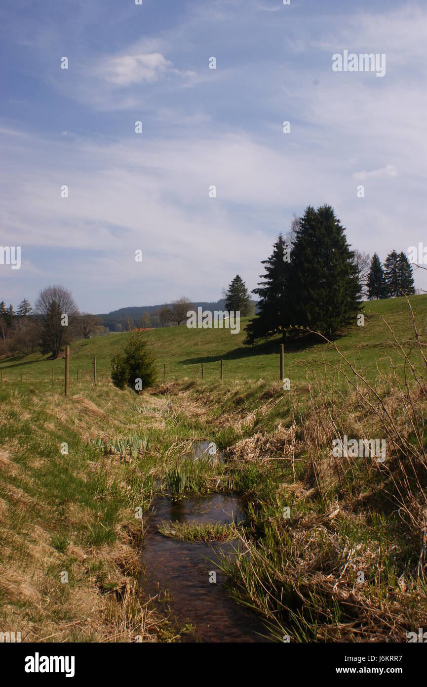 field stream thuringia meadow scenery countryside nature grass lawn ...