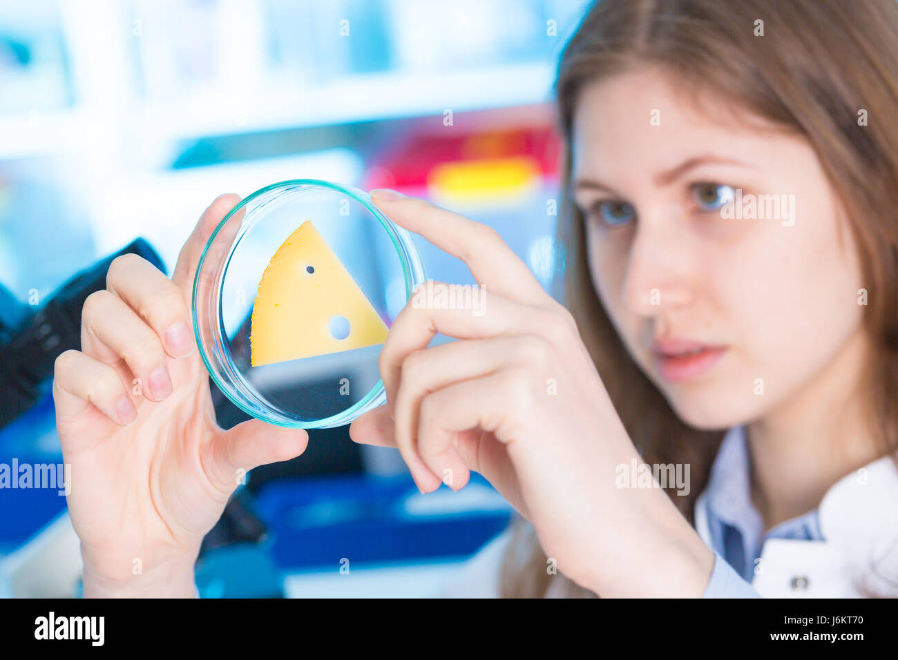 Food test in laboratory, Researcher with GMO plants. Genetically ...