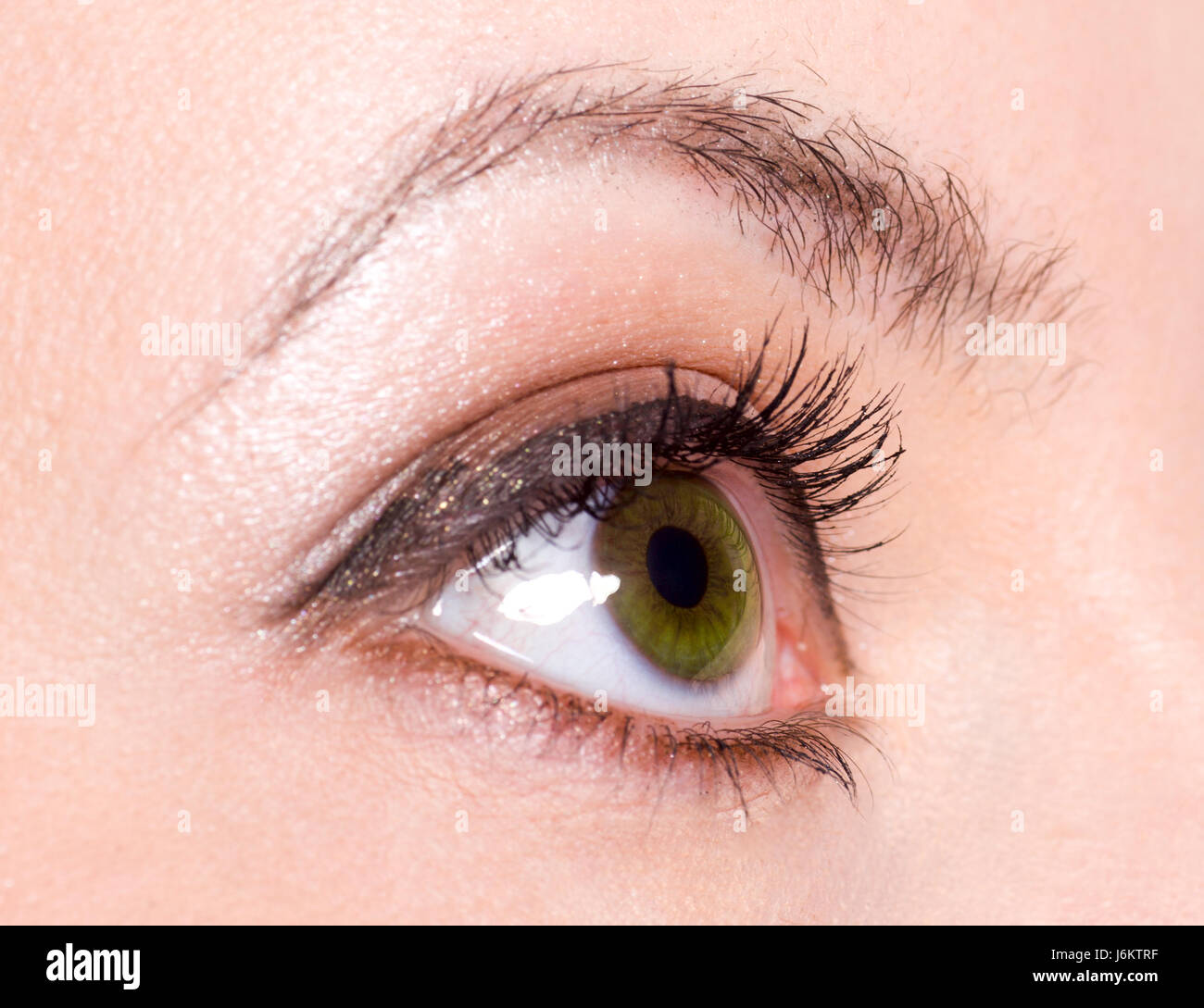 Closeup view human eye hi-res stock photography and images - Alamy