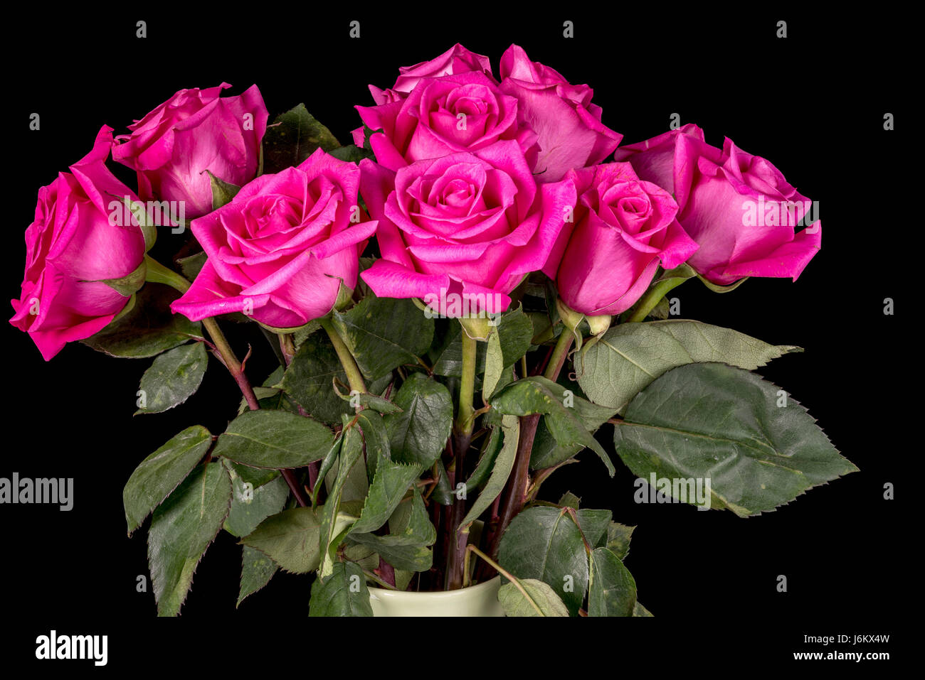 Roses on display hi-res stock photography and images - Alamy