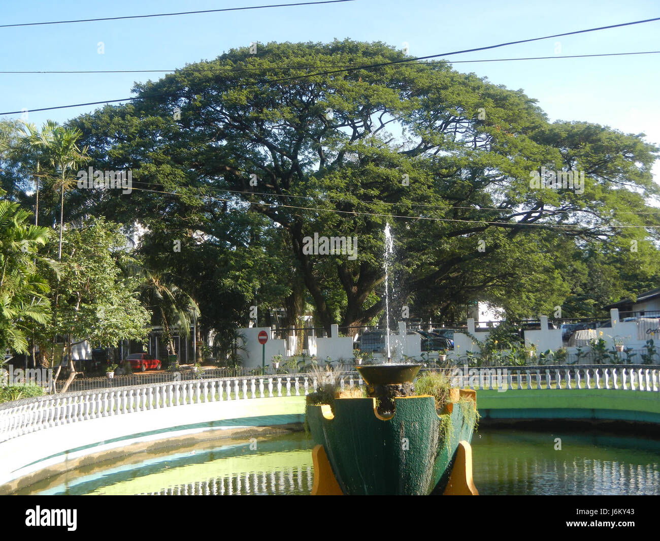 The National Center for Mental Health is located in Mandaluyong City ...