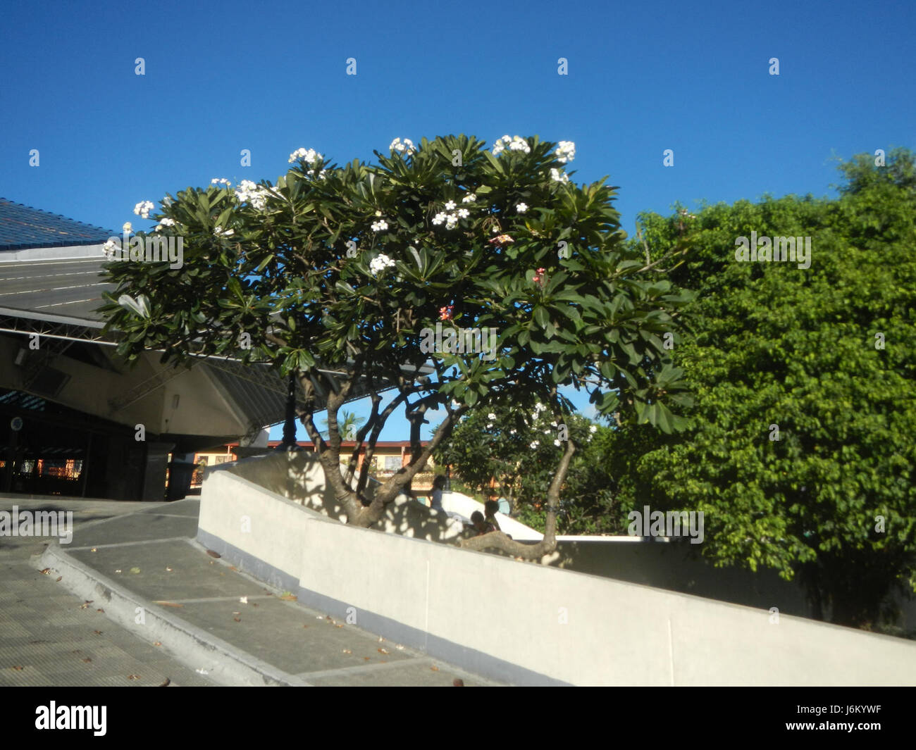 Cardinal Sin High Resolution Stock Photography and Images - Alamy