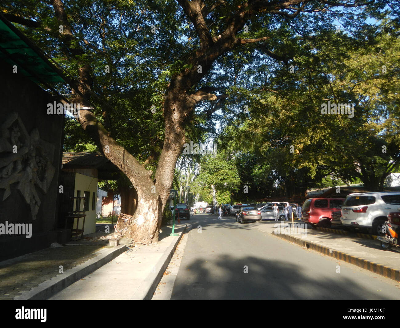 05707 National Center for Mental Health Mauway Mandaluyong City 14 ...
