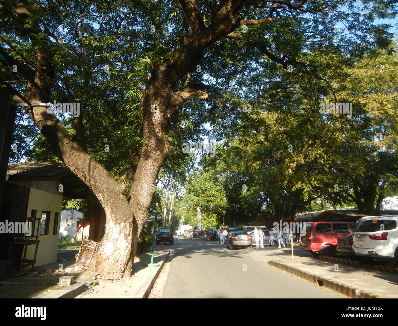 The National Center for Mental Health, located in Mauway, Mandaluyong ...