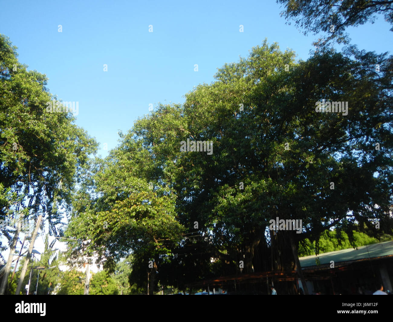 A view of the National Center for Mental Health in Mauway, Mandaluyong ...