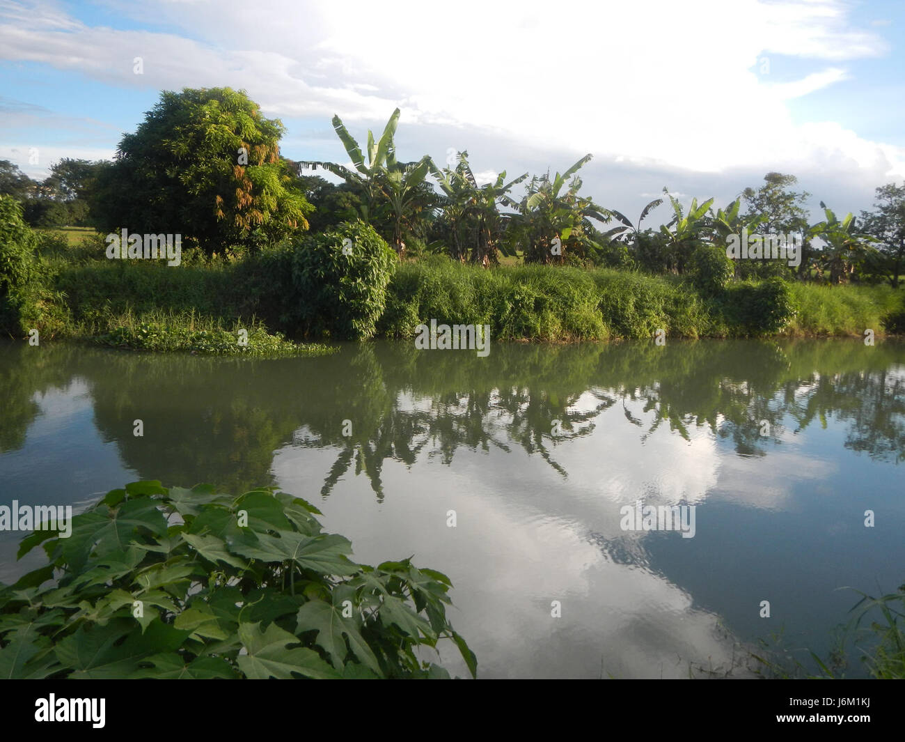 A 1960s aerial photograph captures Sitio Sakdalan in San Jose, Plaridel ...