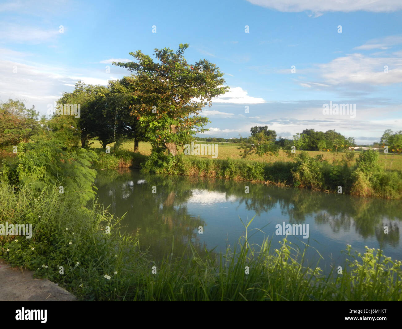 The image depicts the agricultural landscape of Sitio Sakdalan in San ...