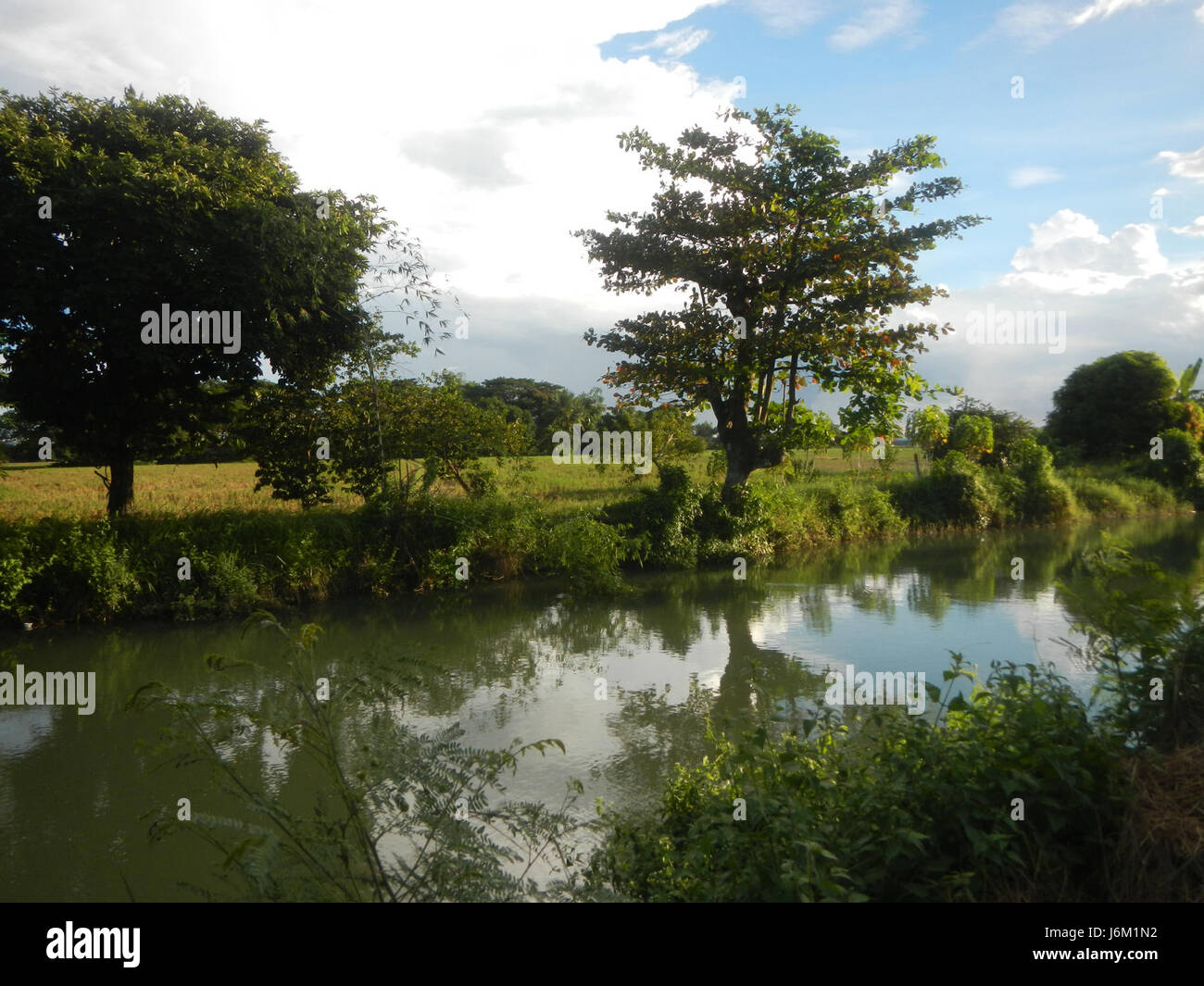 This image showcases the agricultural landscape of Sitio Sakdalan in ...