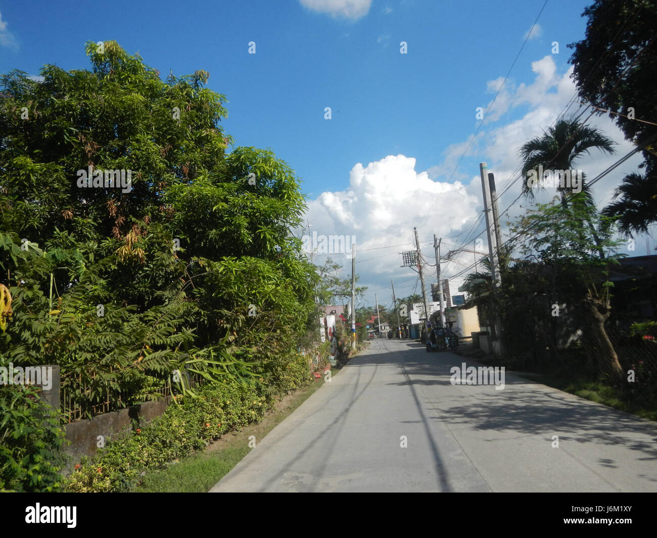 09034 San Vicente Agustin, Batasan Bata Matanda San Miguel Bulacan Farm ...