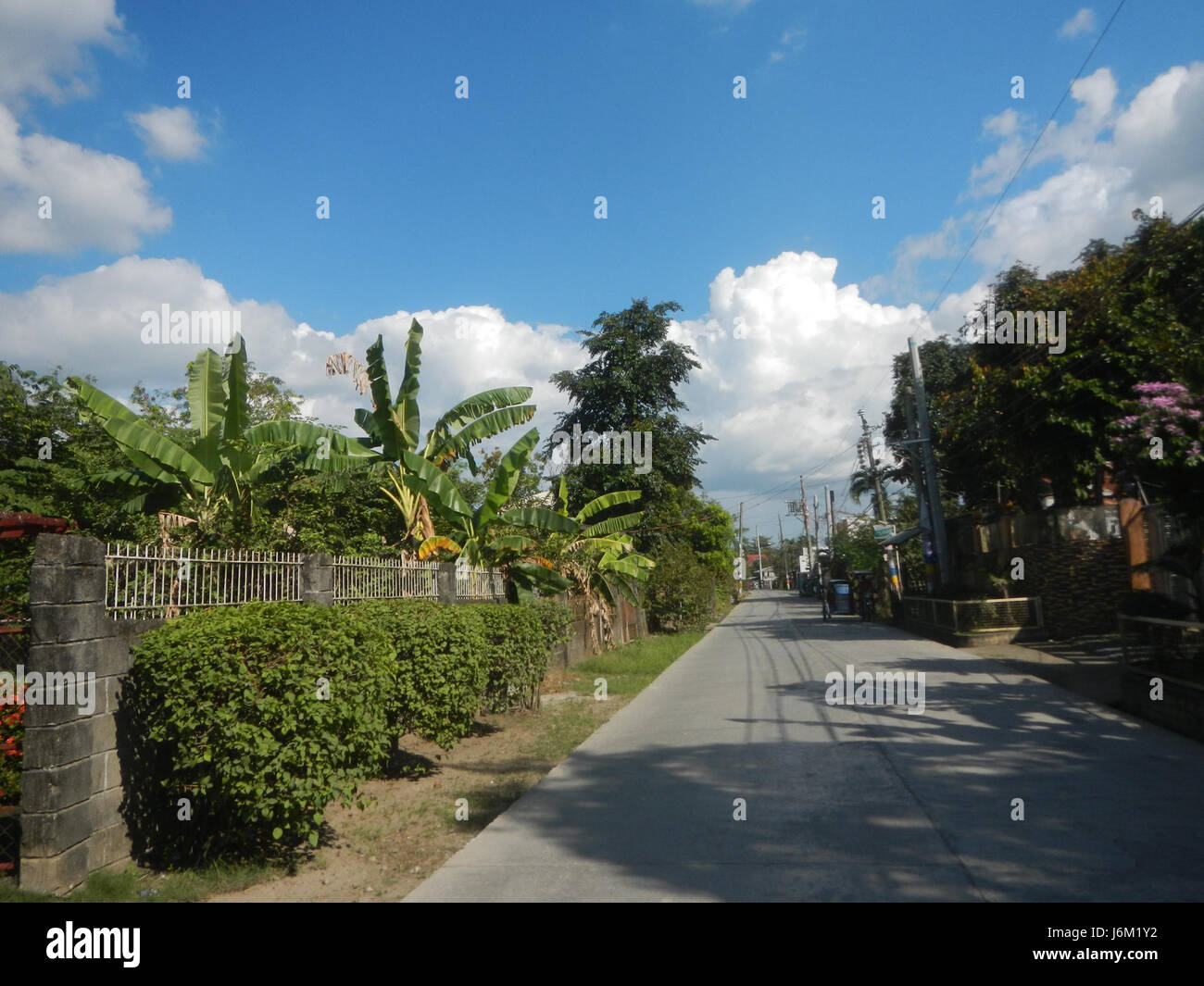 09034 San Vicente Agustin, Batasan Bata Matanda San Miguel Bulacan Farm ...