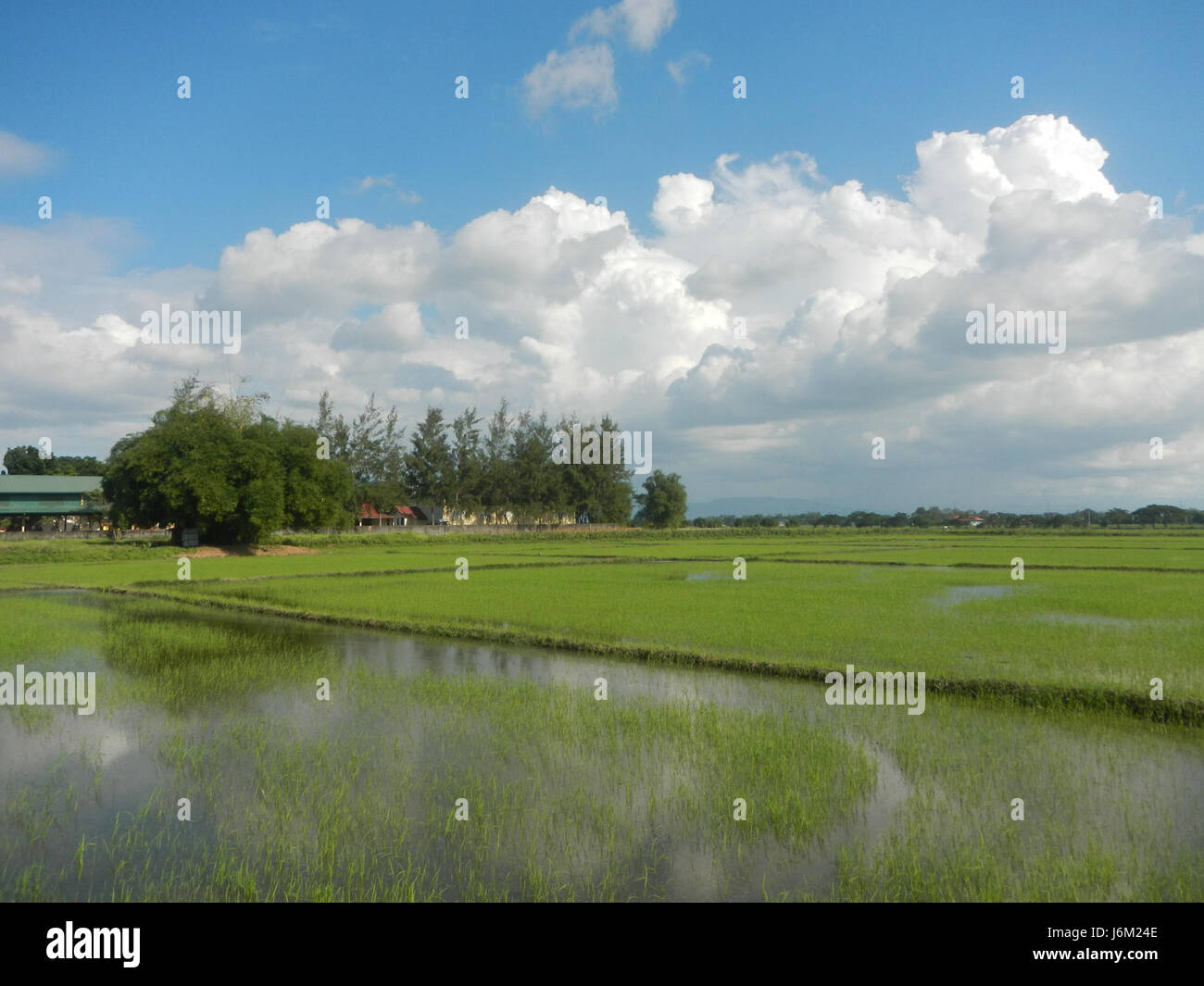 The *paddy fields, irrigation, trees, and grasslands* in Salapungan ...
