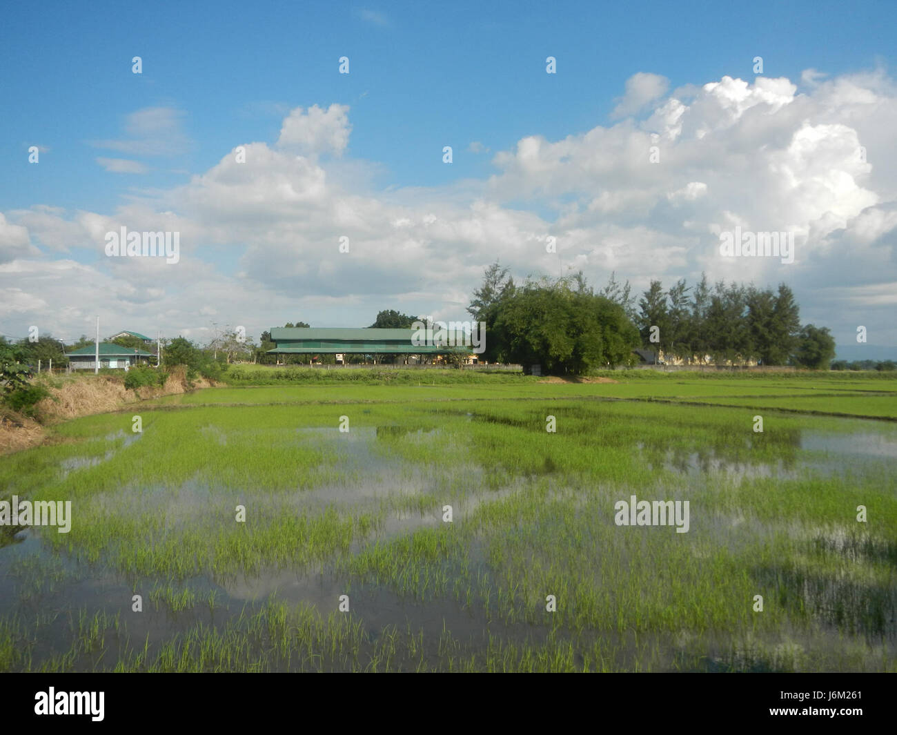 This photograph depicts a rural landscape in Salapungan, Candaba ...