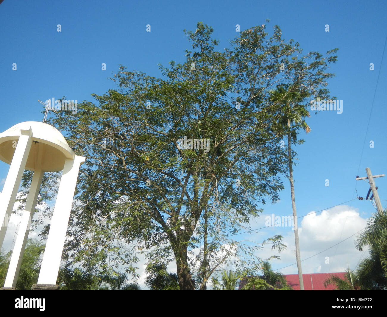 The scene depicts the paddy fields and irrigation systems in Salapungan ...