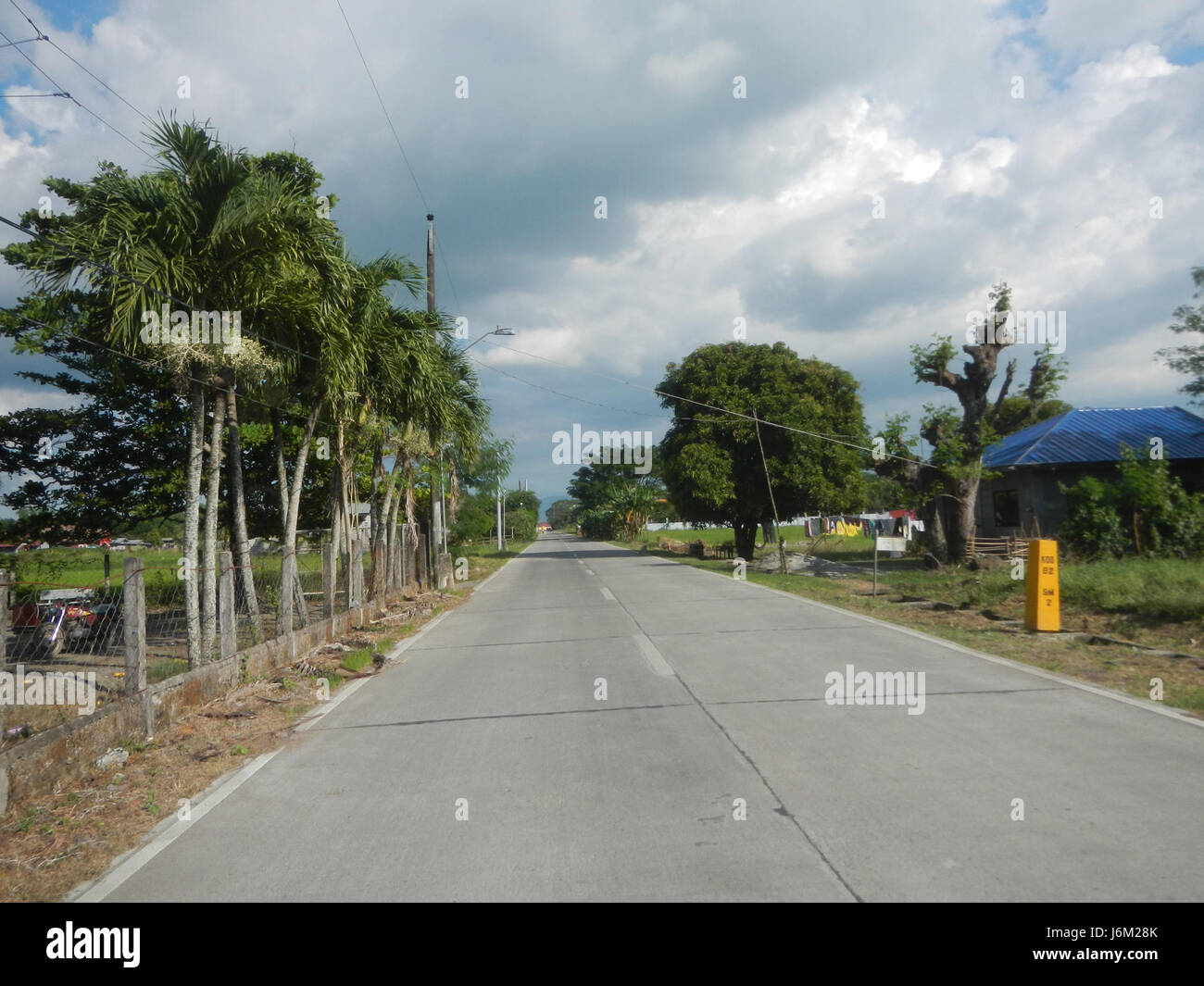 This image depicts the agricultural landscape of Salapungan in Candaba ...