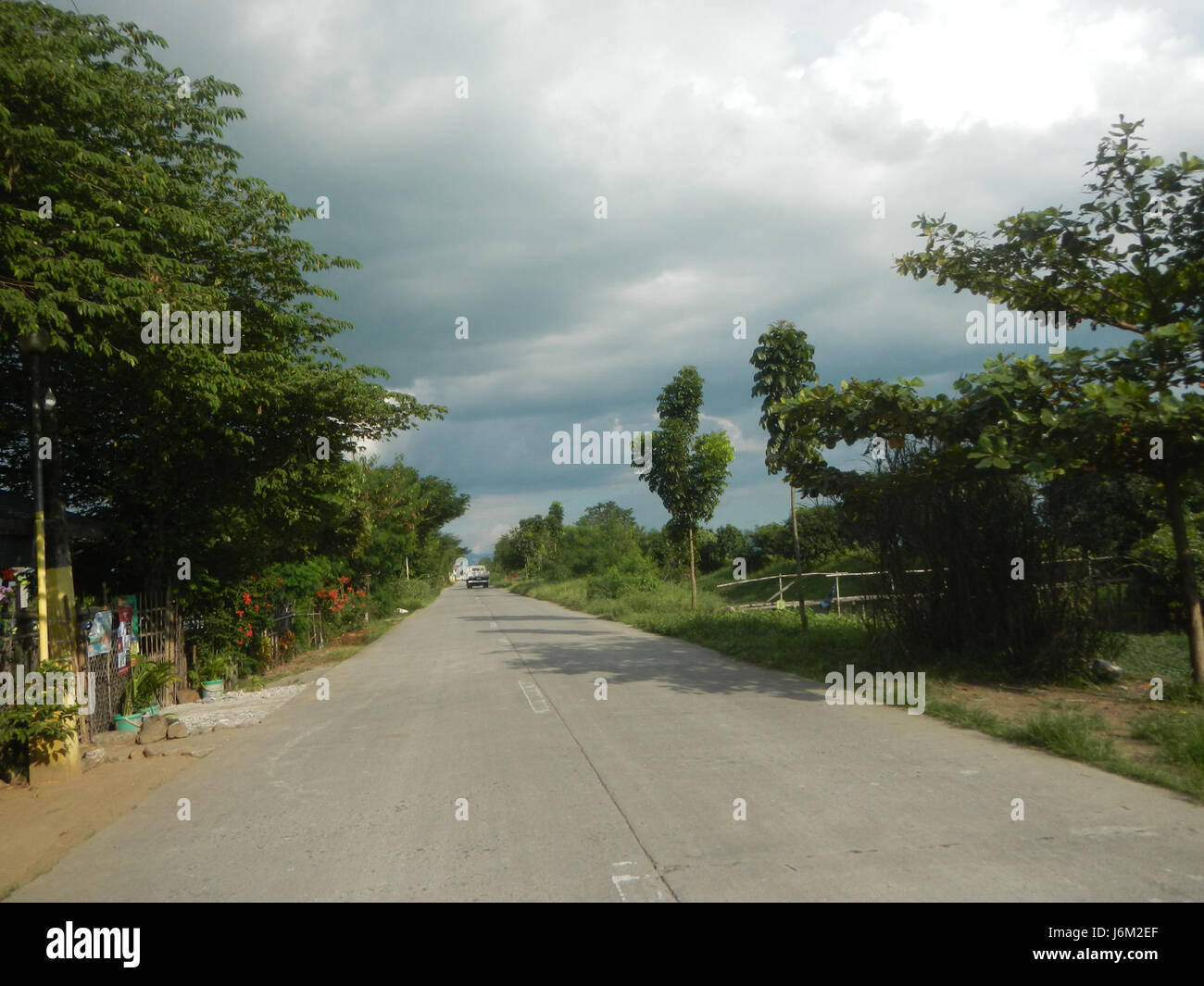 09523 Paddy fields irrigation trees Roads Magumbali Candaba Pampanga 17 ...