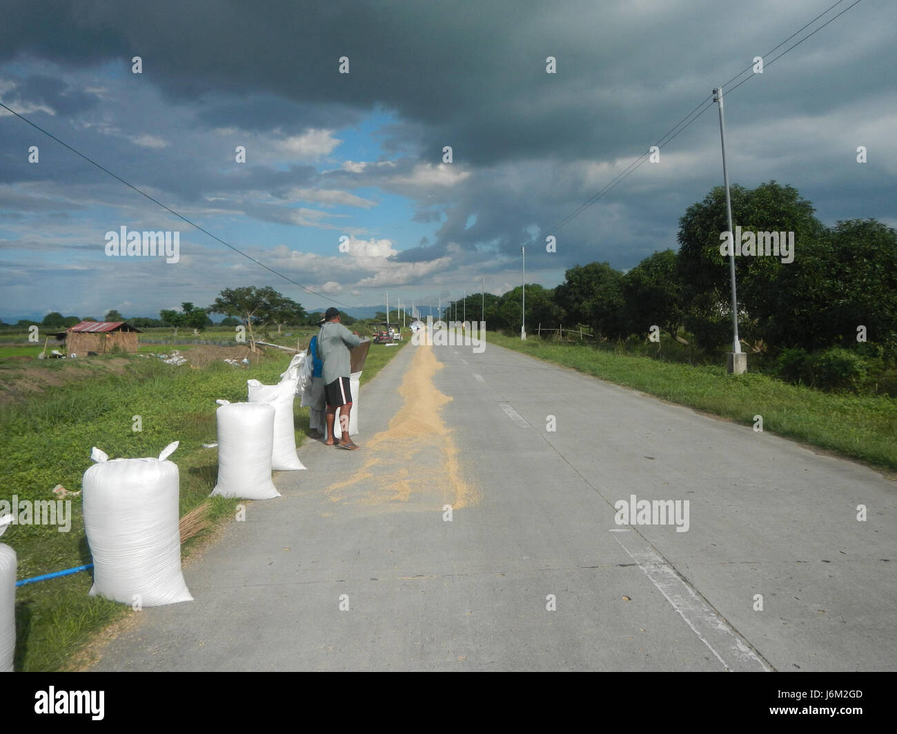 This image depicts the lush paddy fields, irrigation systems, and rural ...