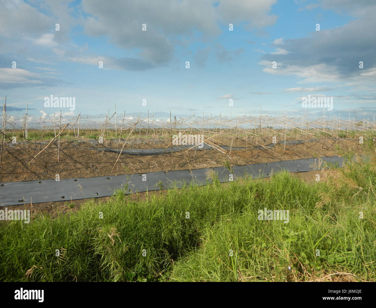 The image of paddy fields, slips, and slopes in Salapungan, Magumbali ...