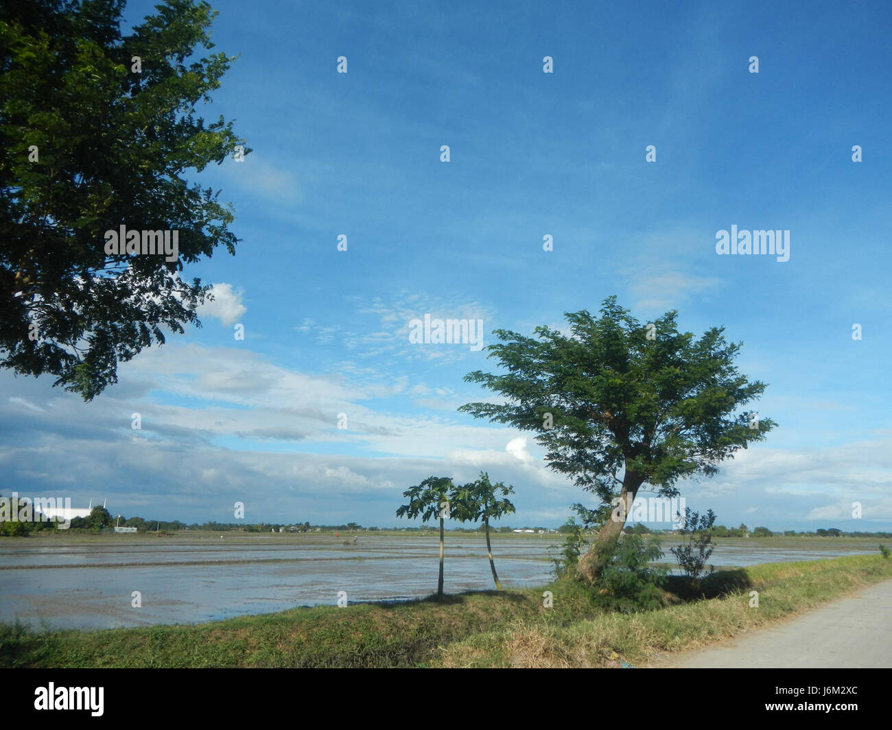 0605 Sitio Hulo Hilerang Patubig Tagulod Candaba Pampanga Farm Market ...