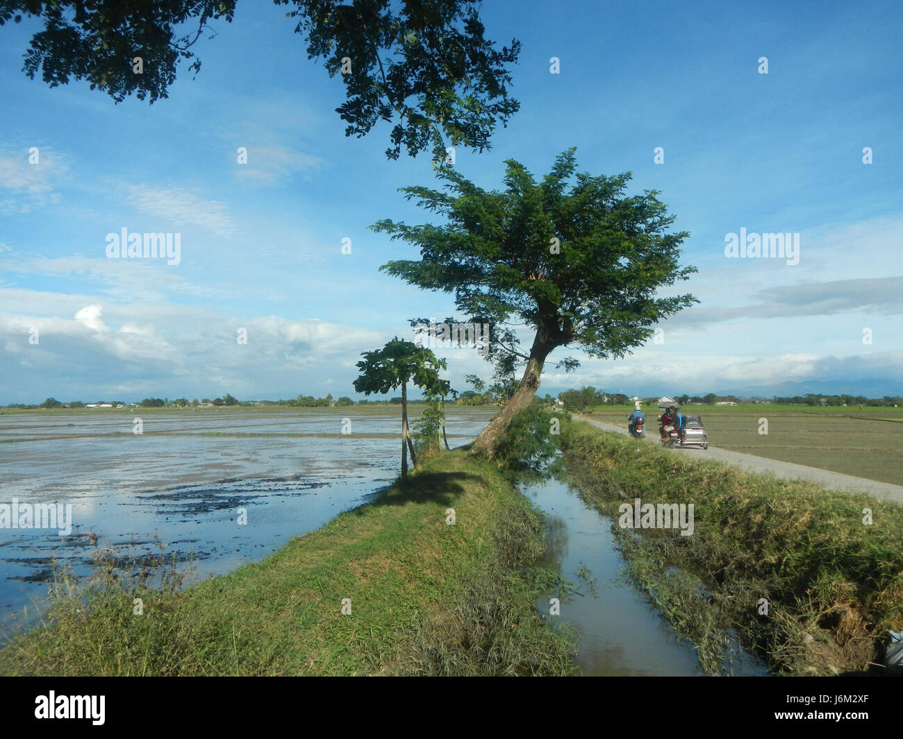 0605 Sitio Hulo Hilerang Patubig Tagulod Candaba Pampanga Farm Market ...