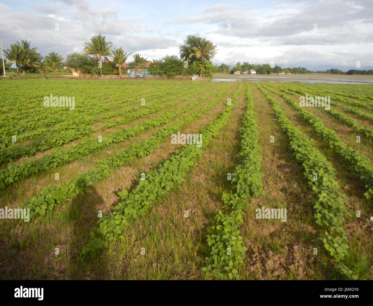 This image represents the Sitio Hulo Hilerang Patubig area in Candaba ...