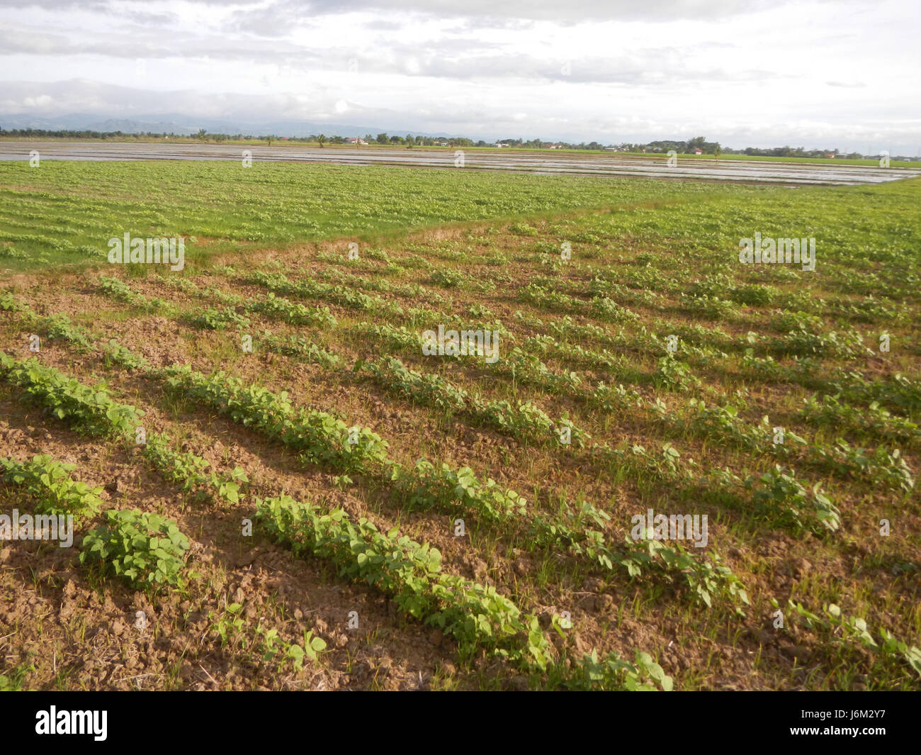This image shows Sitio Hulo, Hilerang Patubig, and Tagulod in Candaba ...