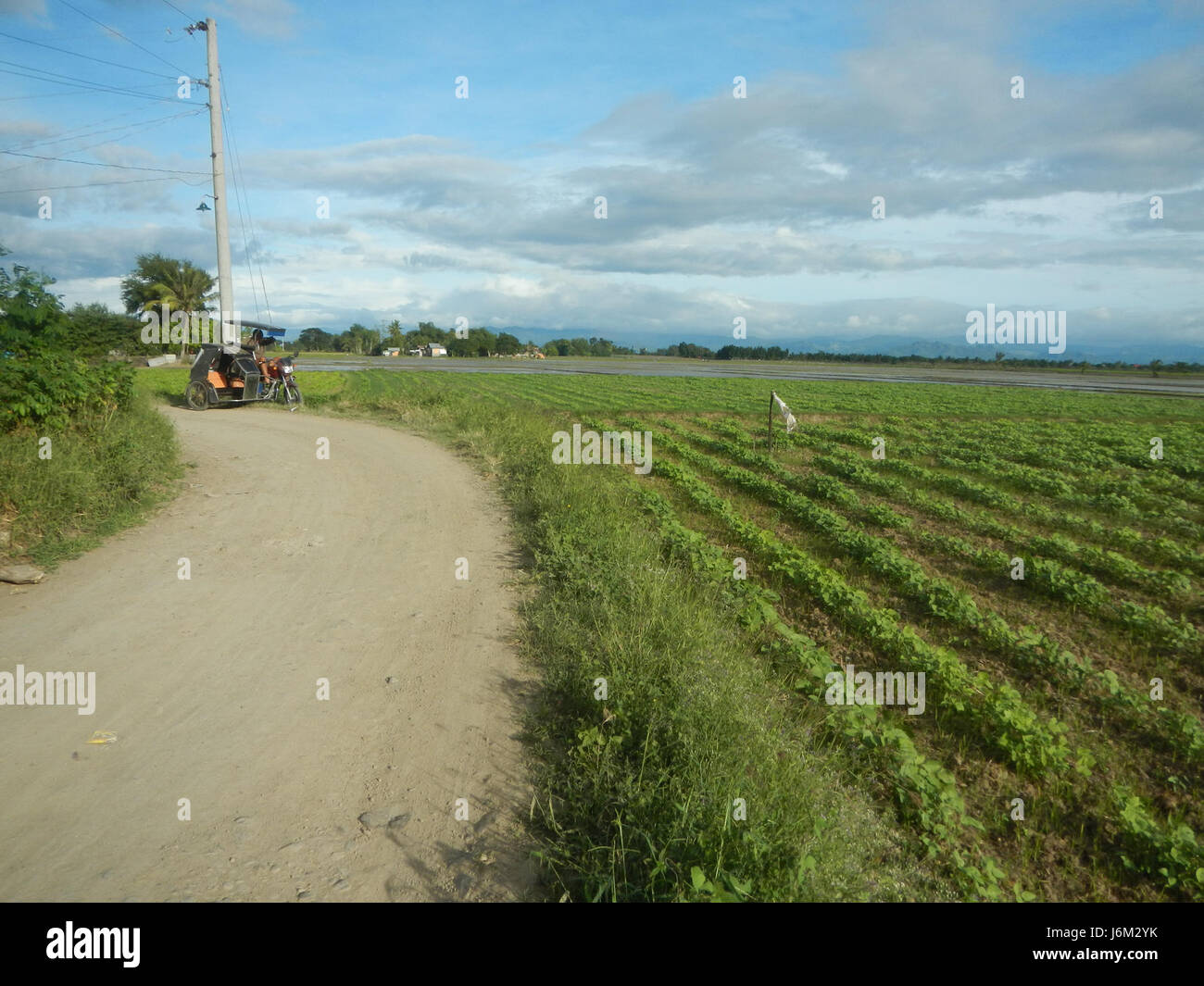 0553 Sitio Hulo Hilerang Patubig Tagulod Candaba Pampanga Farm Market ...