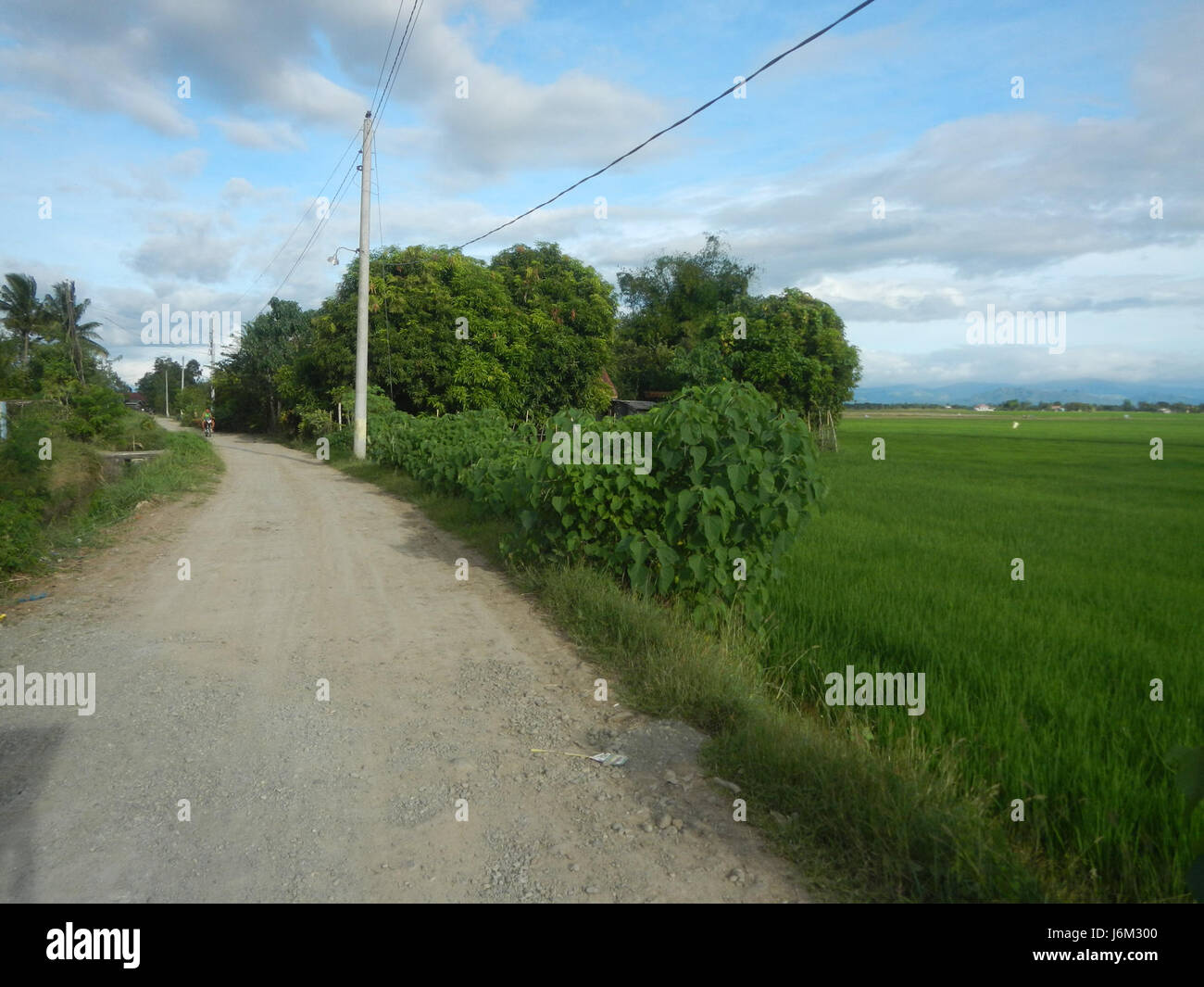 0578 Sitio Hulo Hilerang Patubig Tagulod Candaba Pampanga Farm Market ...