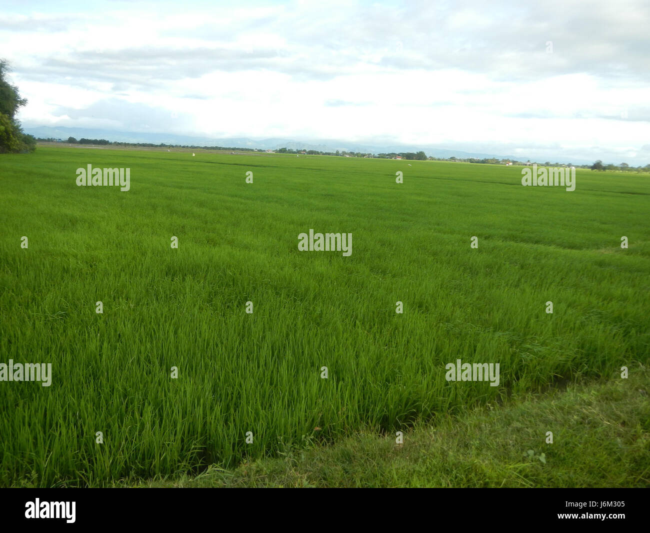 0578 Sitio Hulo Hilerang Patubig Tagulod Candaba Pampanga Farm Market ...