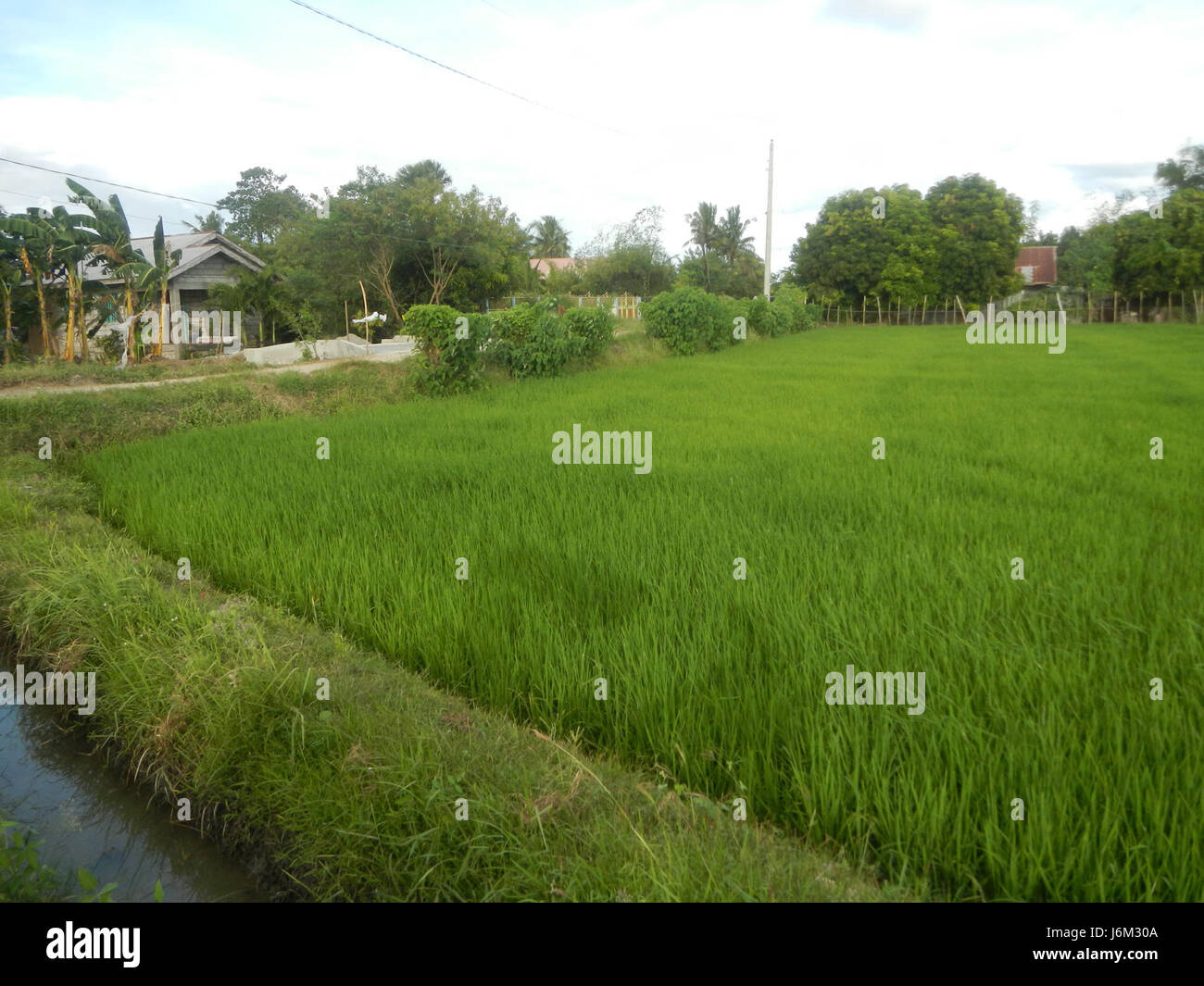 0578 Sitio Hulo Hilerang Patubig Tagulod Candaba Pampanga Farm Market ...