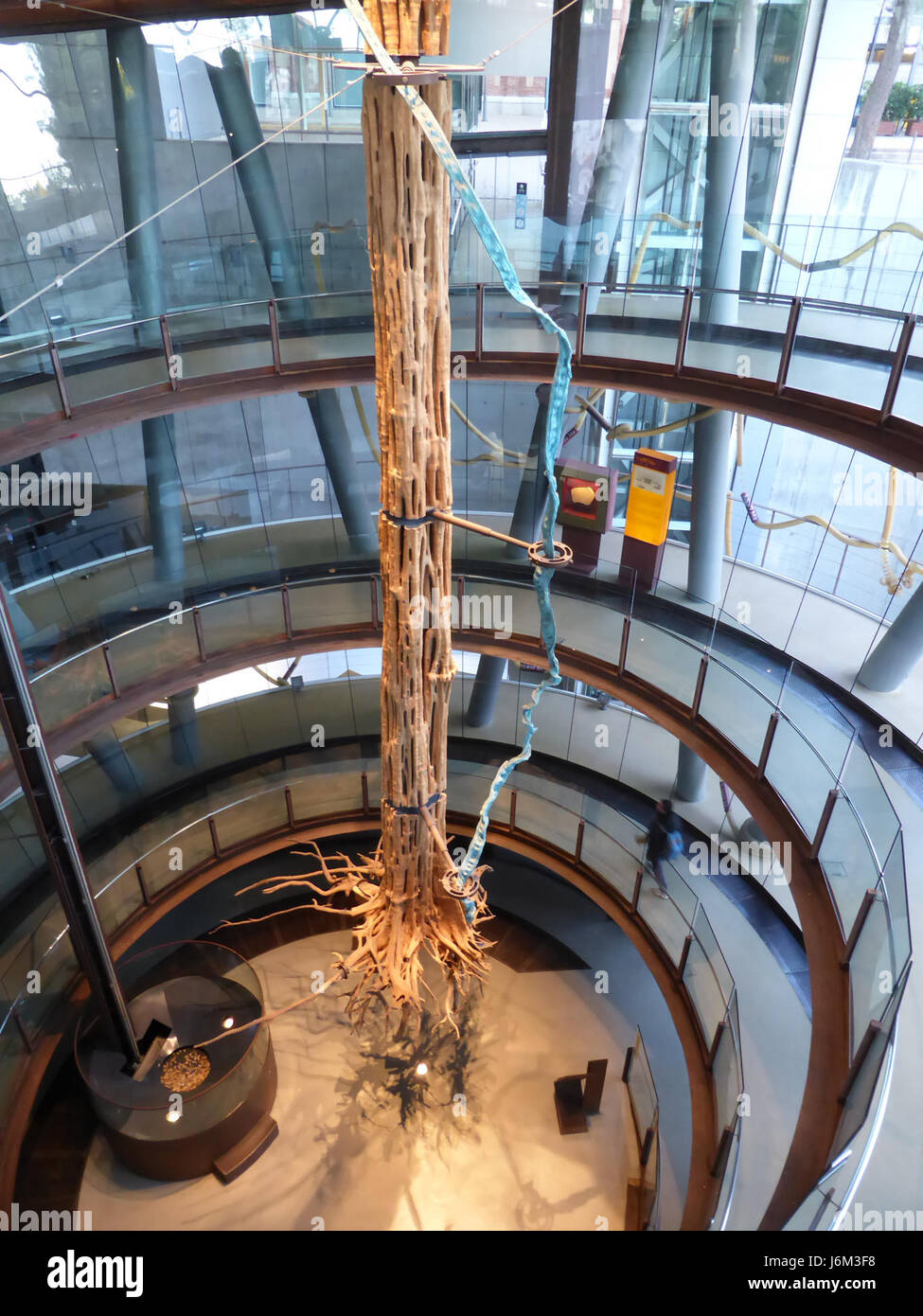 This photograph features a tree at the CosmoCaixa Museum in Barcelona ...