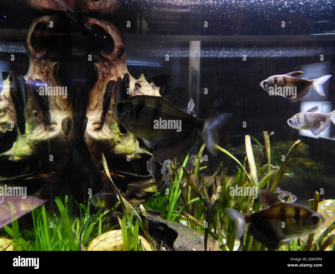 083-Barcelona-Museum-CosmoCaixa refers to a specific entry or document ...