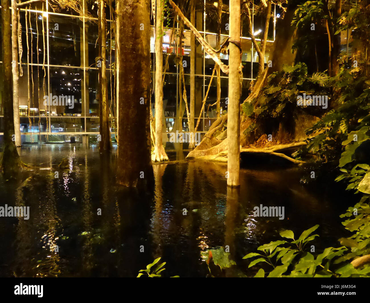 CosmoCaixa Barcelona Museum is an interactive science museum showcasing ...