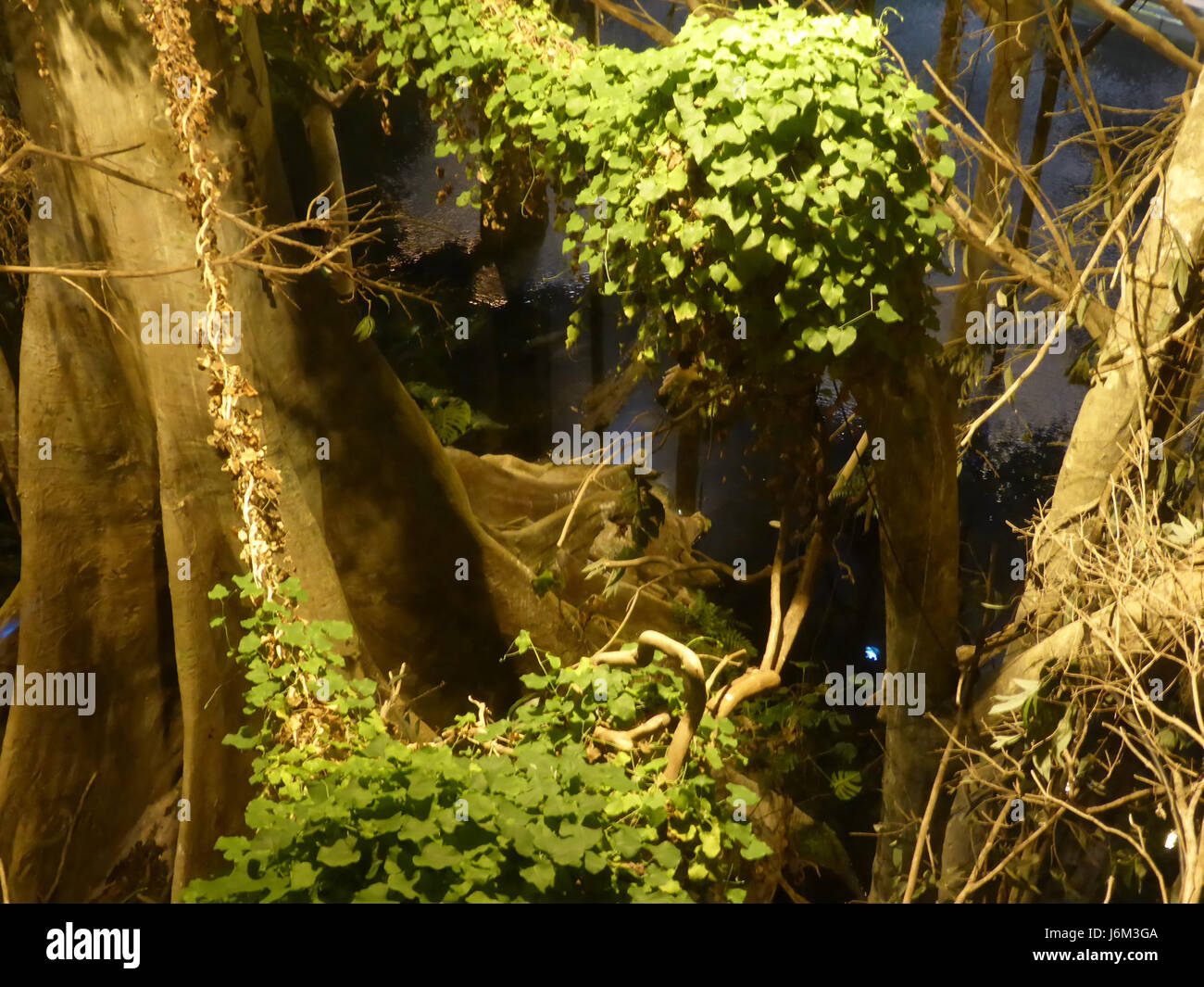 Cosmocaixa hi-res stock photography and images - Alamy