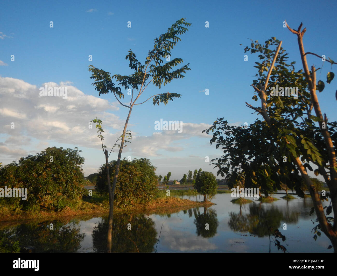Cortez Road in Concepcion, San Simon, Pampanga, is surrounded by paddy ...