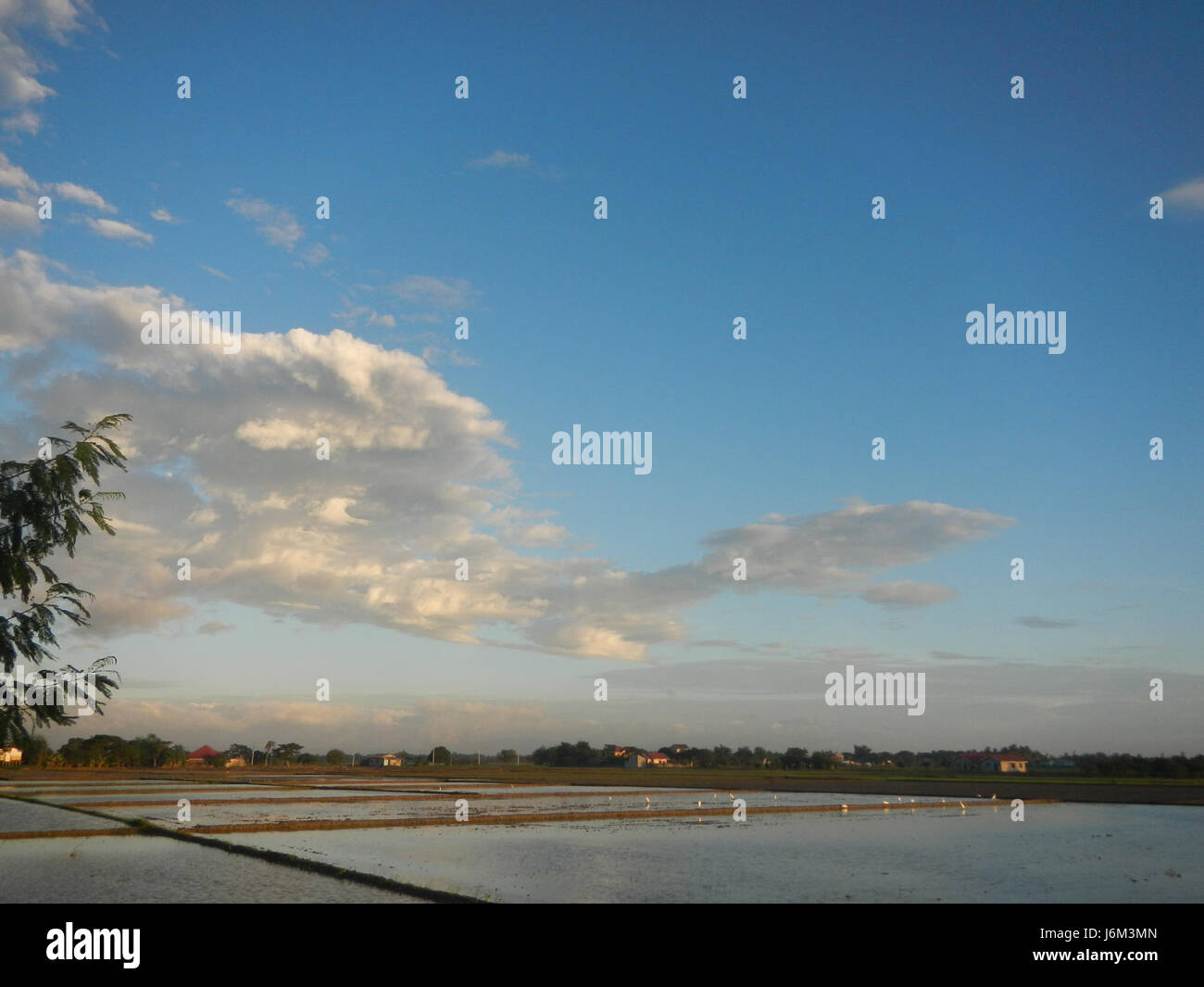 A photograph depicting the rural landscape of the Philippines ...